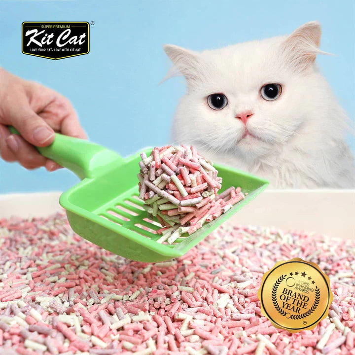 Kit Cat - Alimentos y Cuidados para Gatos - Chema y su manada | Ayuda a ...